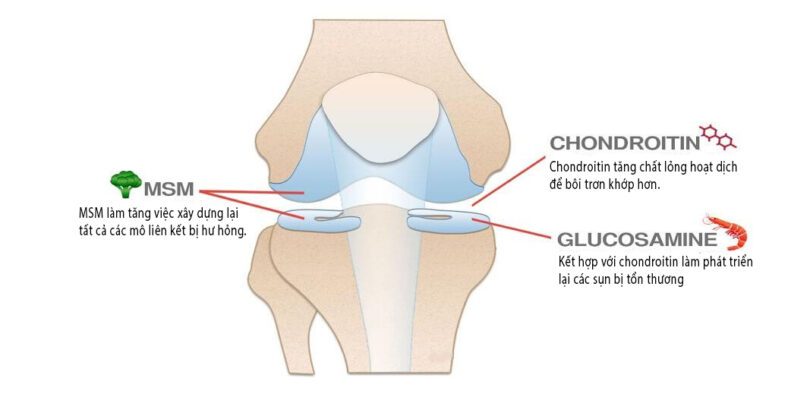 MSM (Methylsulfonylmethane) là gì? - WheyPlus
