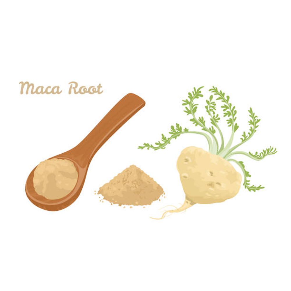 4 Lợi ích của Maca Root (và các tác dụng phụ tiềm ẩn) - WheyPlus
